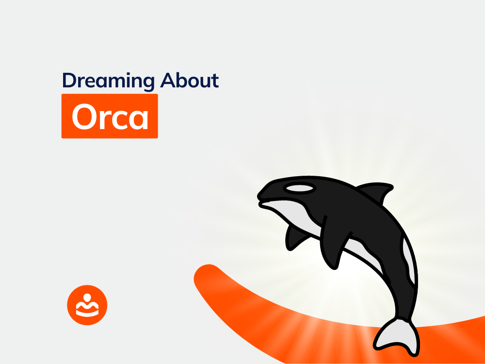 53+ Dreaming of Orcas (Biblical & Spiritual Meanings) - BeHappyHuman