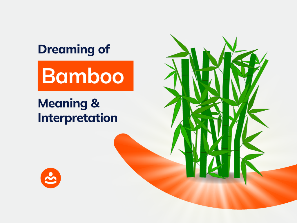 27+ Dreaming of Bamboo Meanings and Interpretations